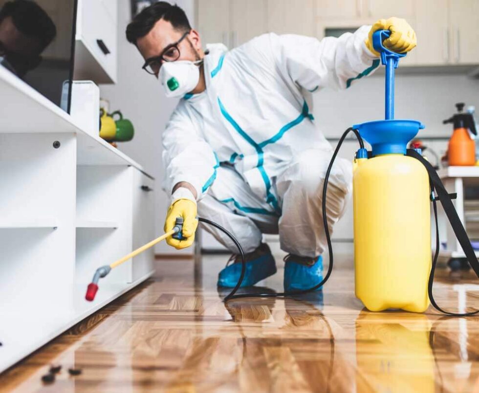 Home - Quick Pest Control